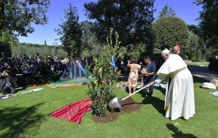 The Amazon Synod | The Victor's Place